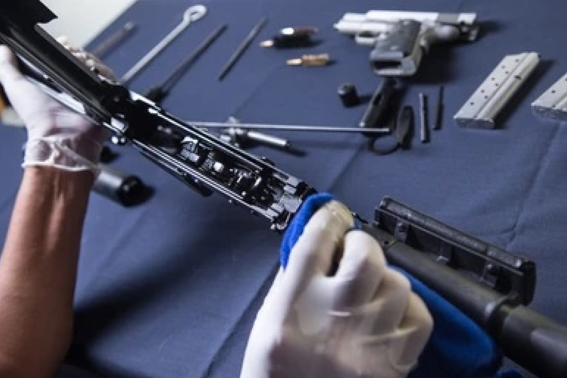 Field Strip & Clean - Proeliator LLC