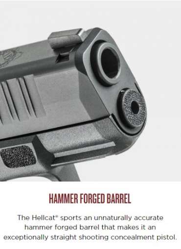 Springfield Armory Hellcat OSP